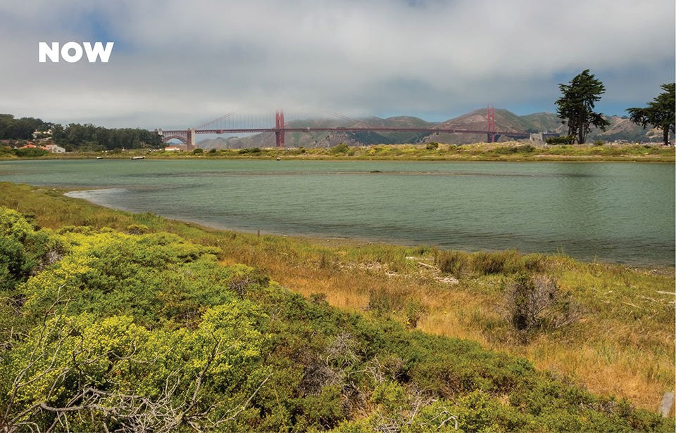The Marsh - Golden Gate National Recreation Area (U.S. National Park ...