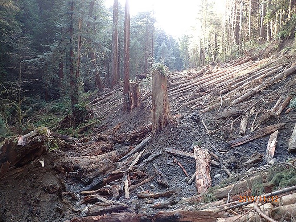 Legacy Logging Roads - Redwood National and State Parks (U.S. National ...