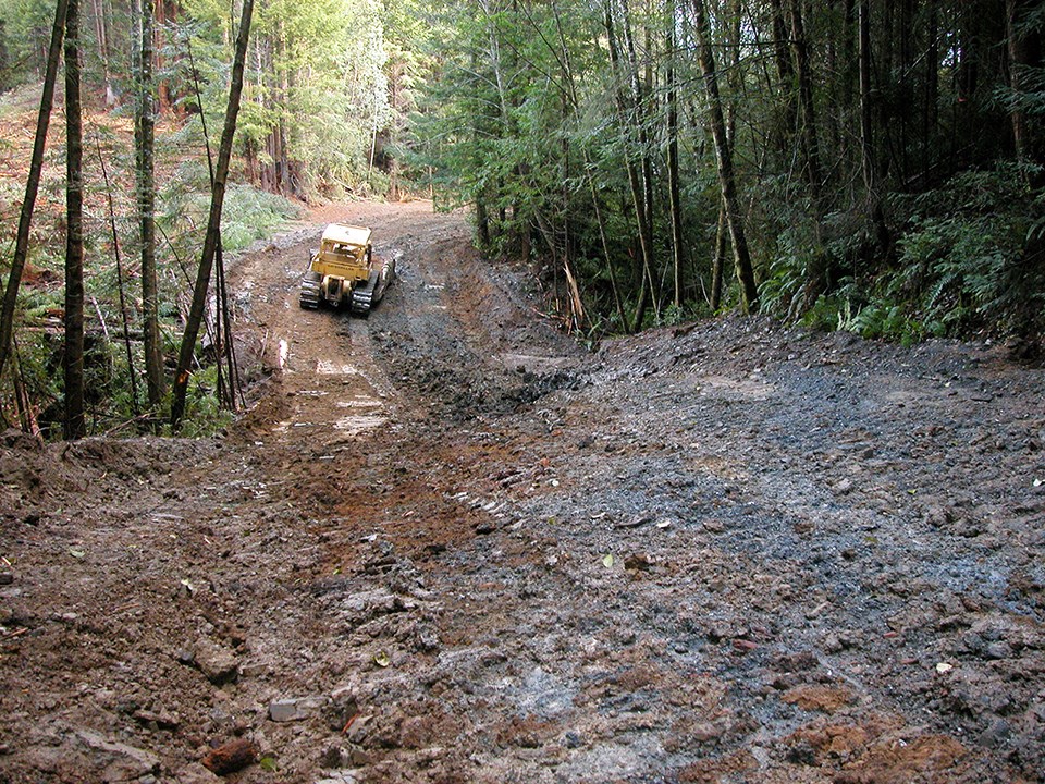 Legacy Logging Roads - Redwood National and State Parks (U.S. National ...