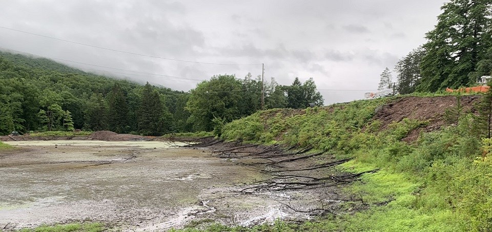 Wetlands Restoration - Delaware Water Gap National Recreation Area (U.S ...