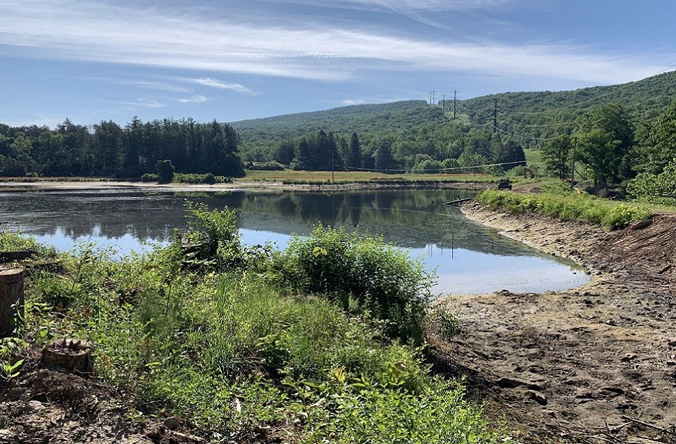 Wetlands Restoration - Delaware Water Gap National Recreation Area (U.S ...