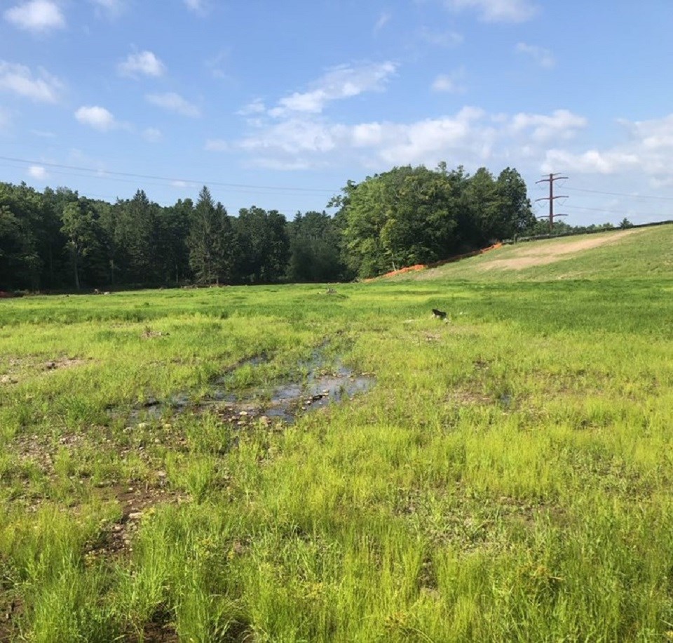 Wetlands Restoration - Delaware Water Gap National Recreation Area (U.S ...