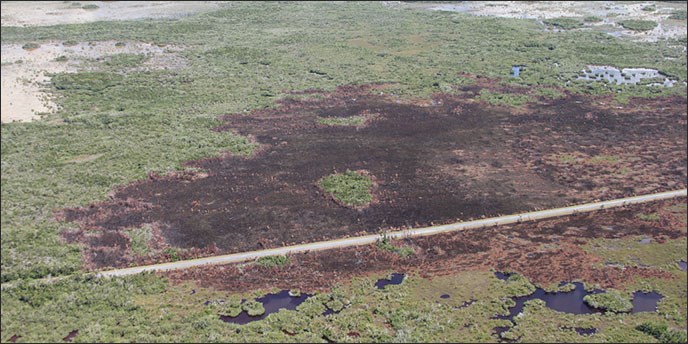 Wildland Fire - Everglades National Park (U.S. National Park Service)