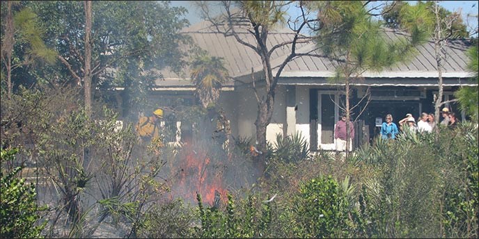 Wildland Fire - Everglades National Park (U.S. National Park Service)