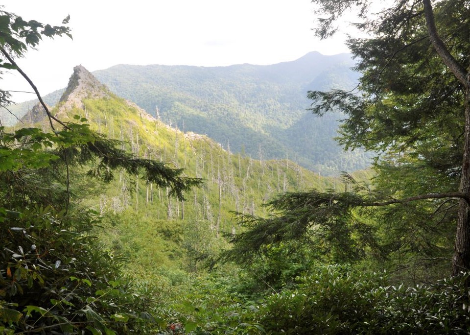 Chimney Tops 2 Fire Repeat Photography - Great Smoky Mountains National ...