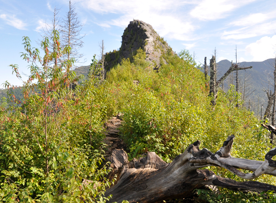 Chimney Tops 2 Fire Repeat Photography - Great Smoky Mountains National ...