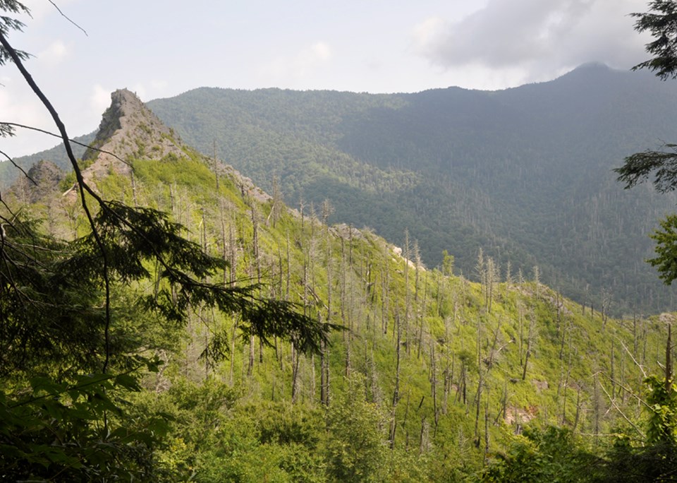 Chimney Tops 2 Fire Repeat Photography - Great Smoky Mountains National ...