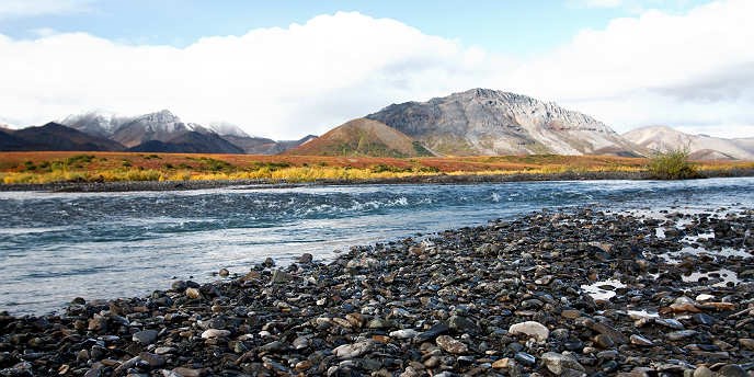 Learn About the Park - Noatak National Preserve (U.S. National Park ...