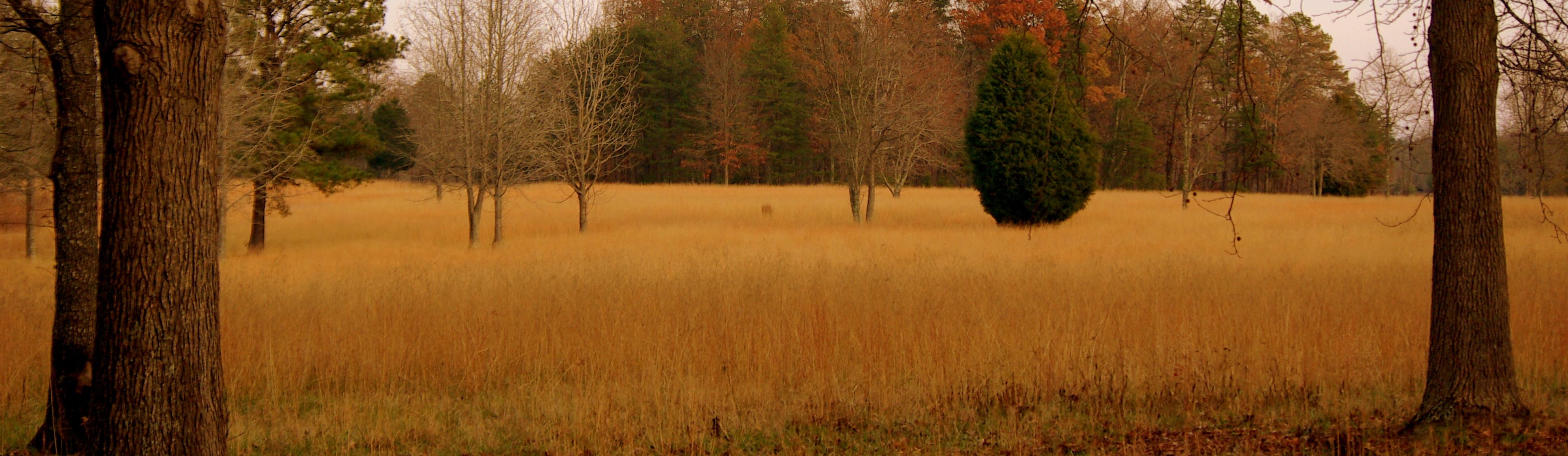 Cowpens National Battlefield (U.S. National Park Service)