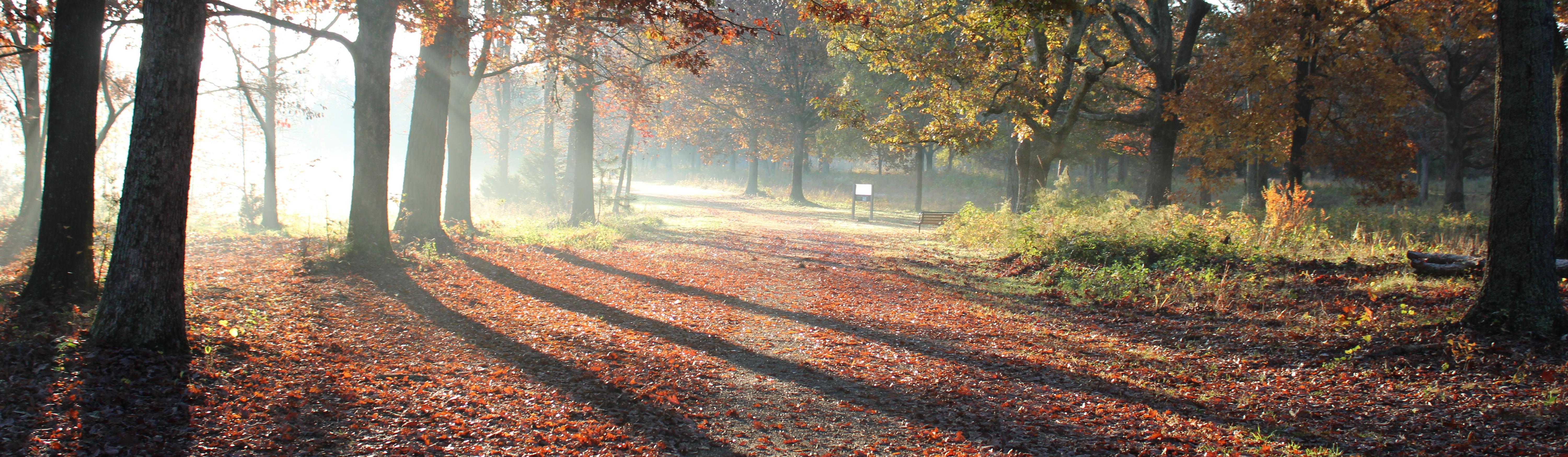 Cowpens National Battlefield (U.S. National Park Service)