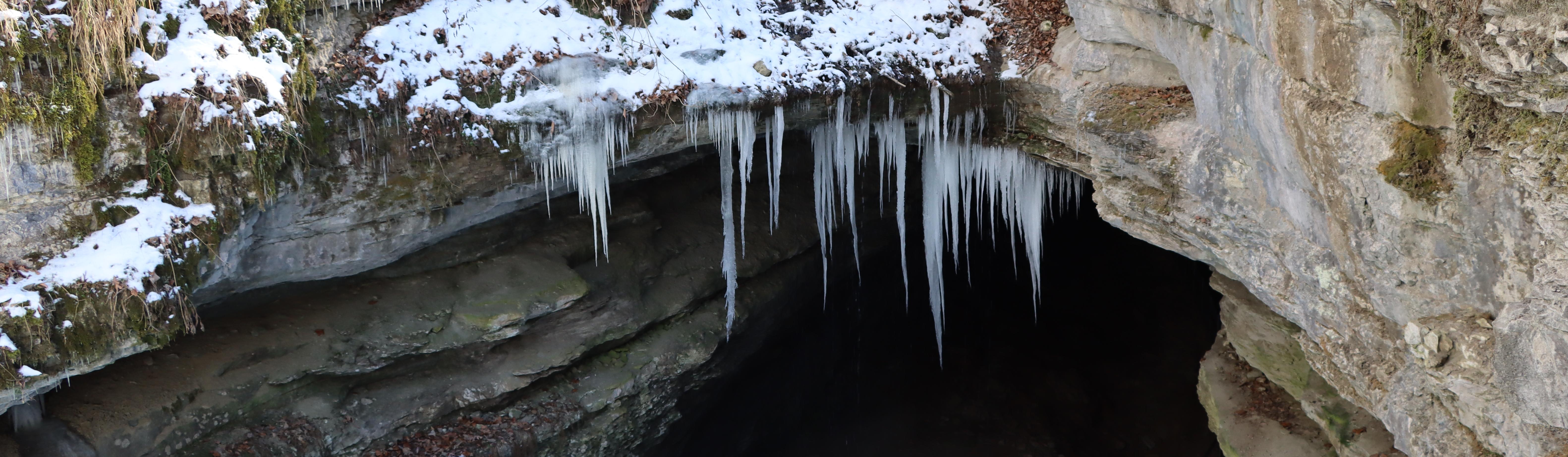 Mammoth Cave National Park (U.S. National Park Service)