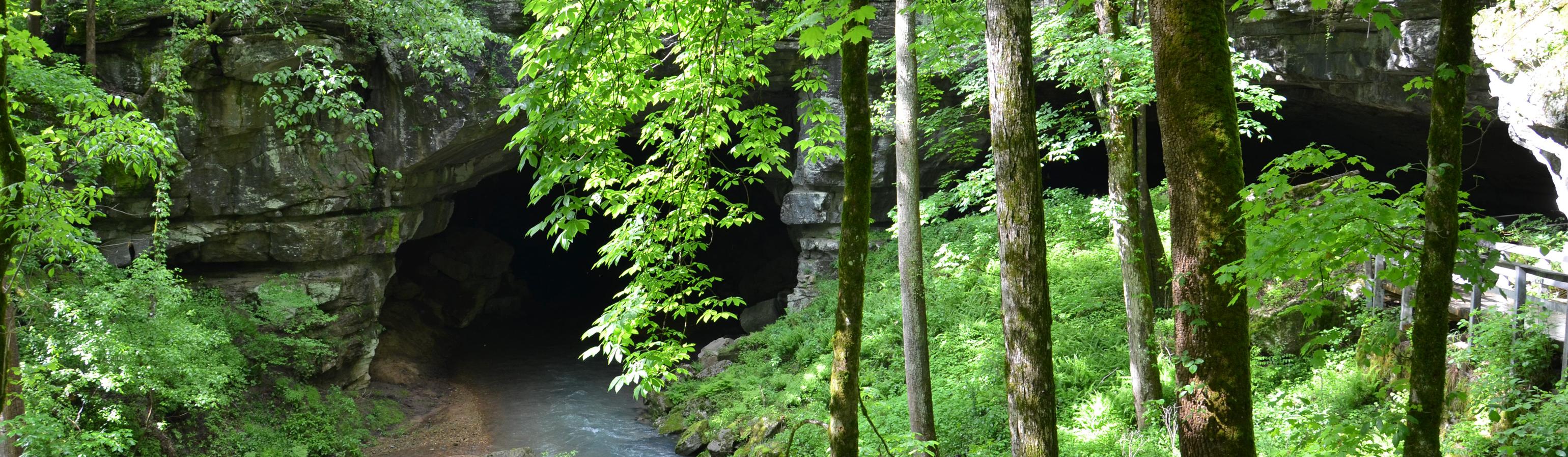 Russell Cave National Monument (U.S. National Park Service)