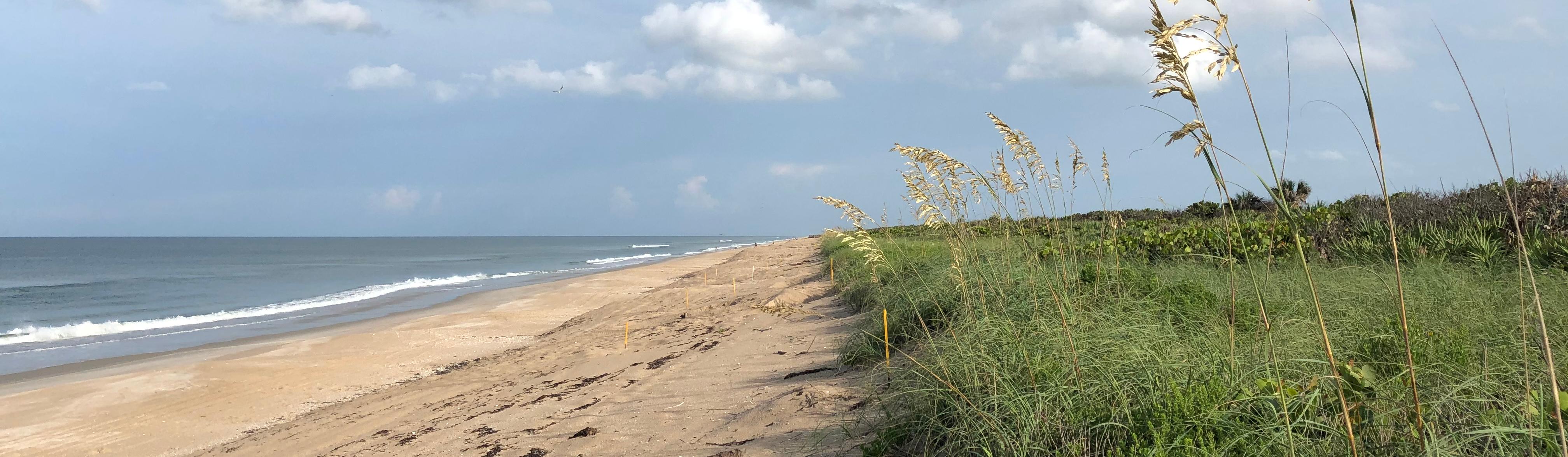 Canaveral National Seashore (U.S. National Park Service)