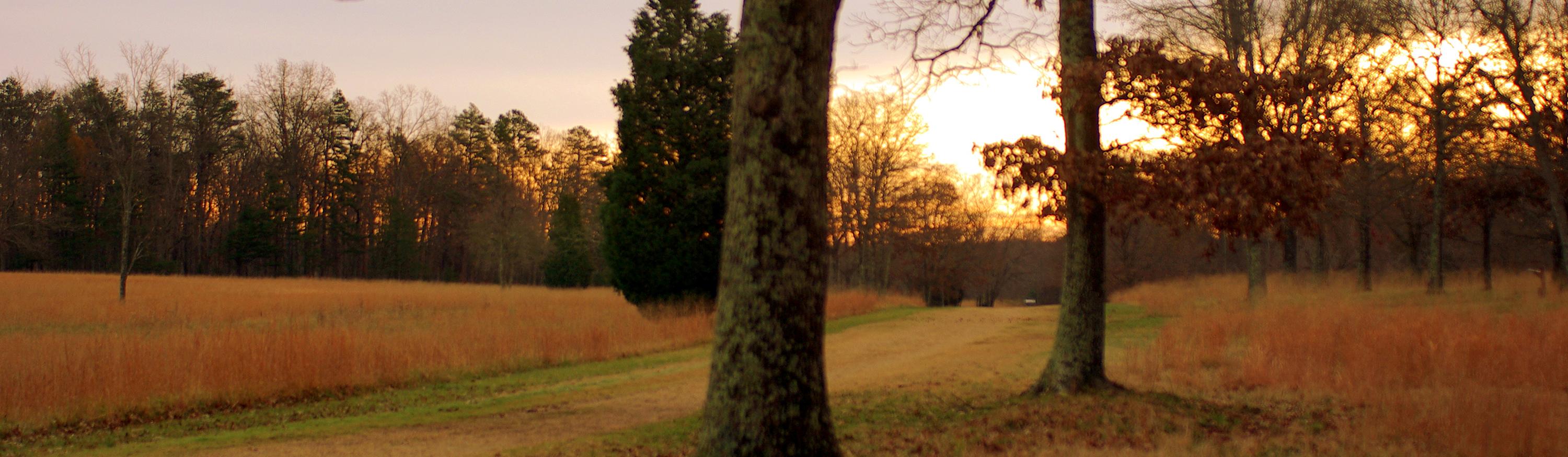 Site Index - Cowpens National Battlefield (U.S. National Park Service)