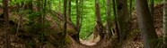 Natchez Trace National Scenic Trail U S National Park Service 