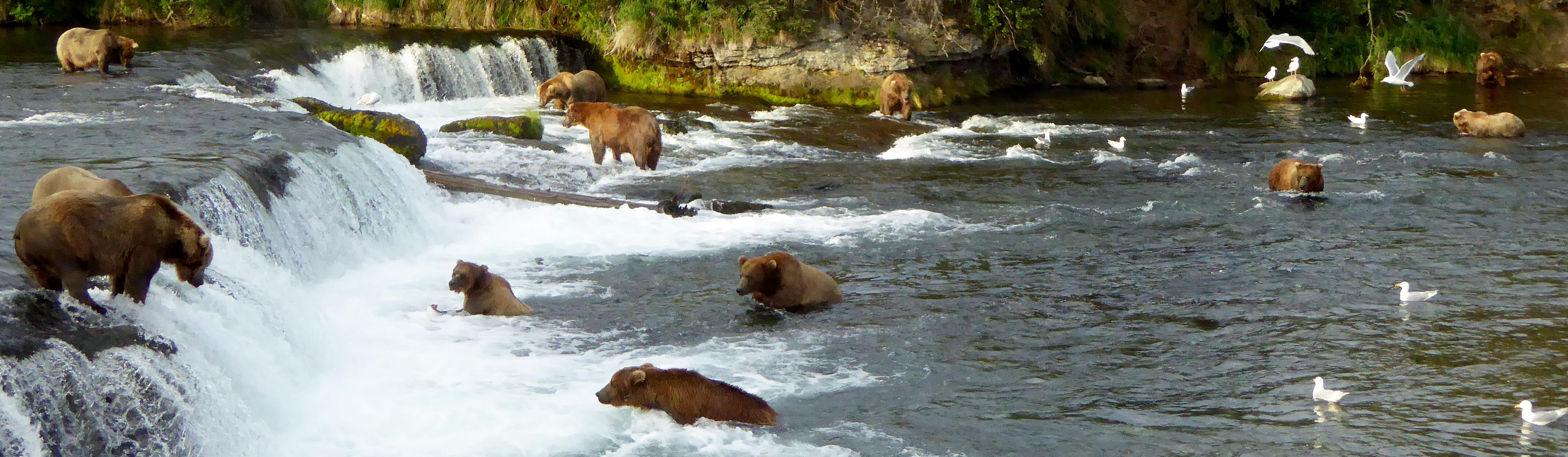 Katmai National Park & Preserve (U.S. National Park Service)