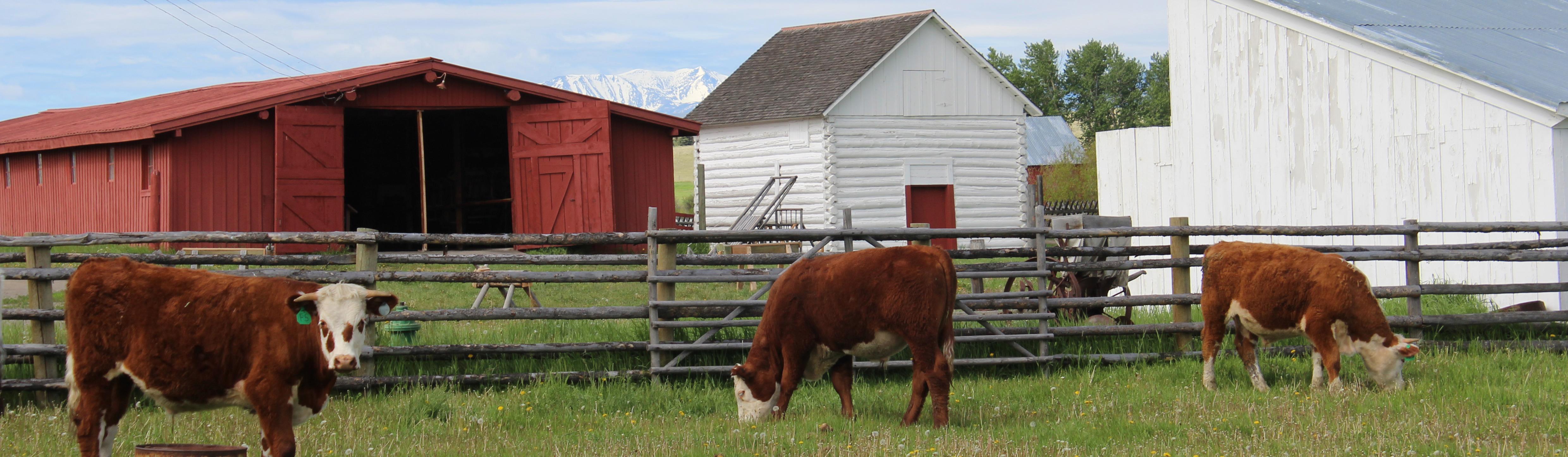 Grant-Kohrs Ranch National Historic Site (U.S. National Park Service)
