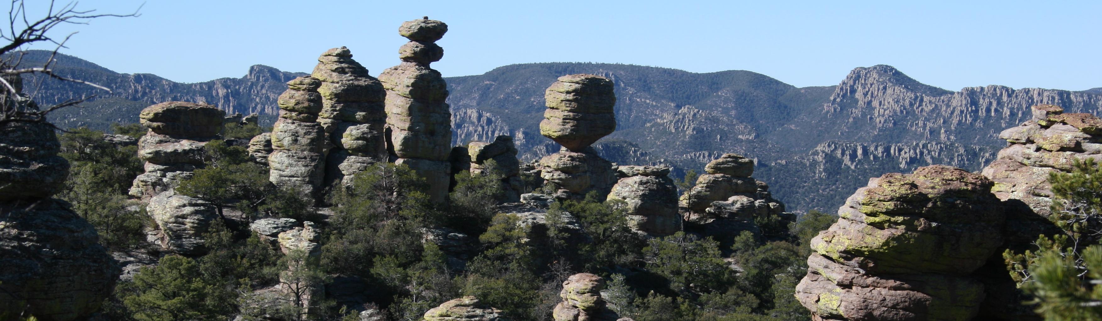 Chiricahua National Monument (U.S. National Park Service)