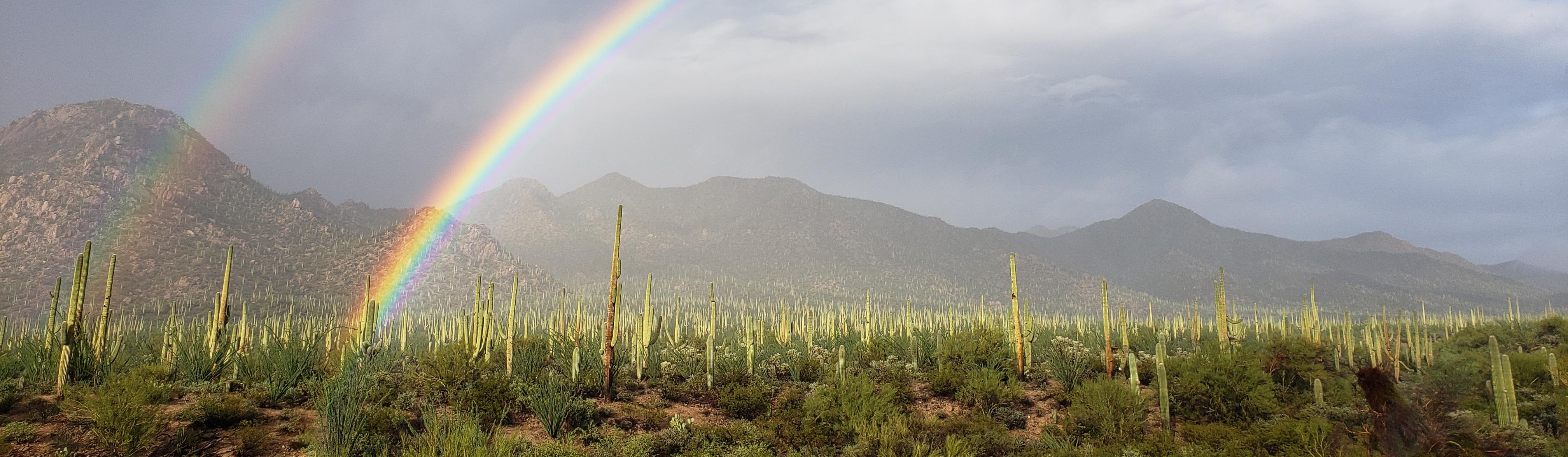 Saguaro National Park (U.S. National Park Service)