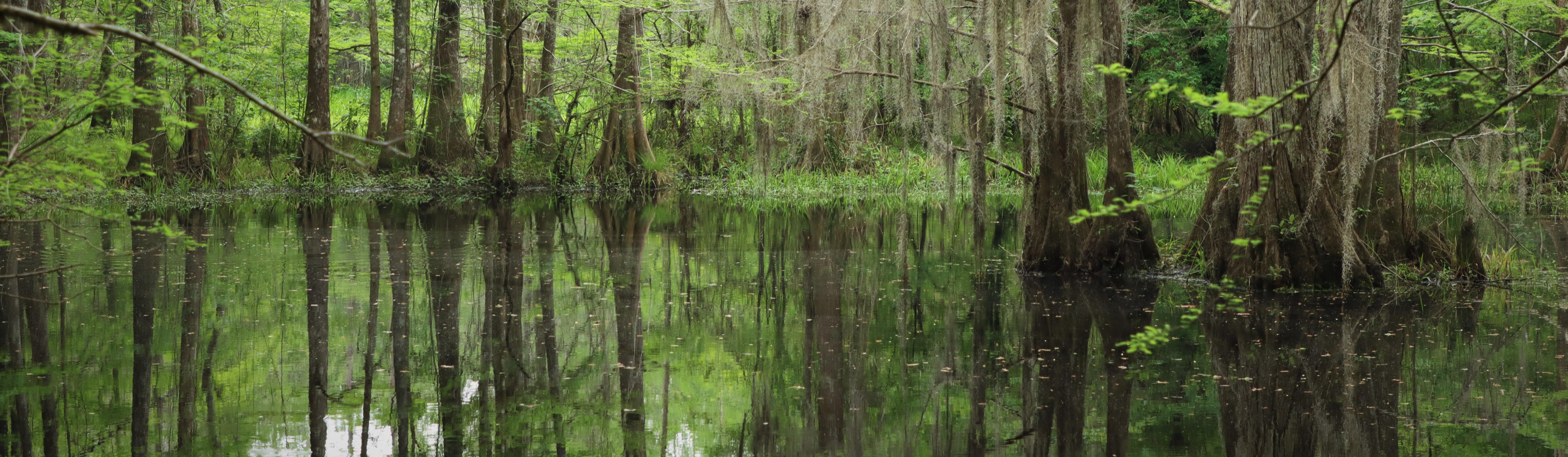 Big Thicket National Preserve (U.S. National Park Service)