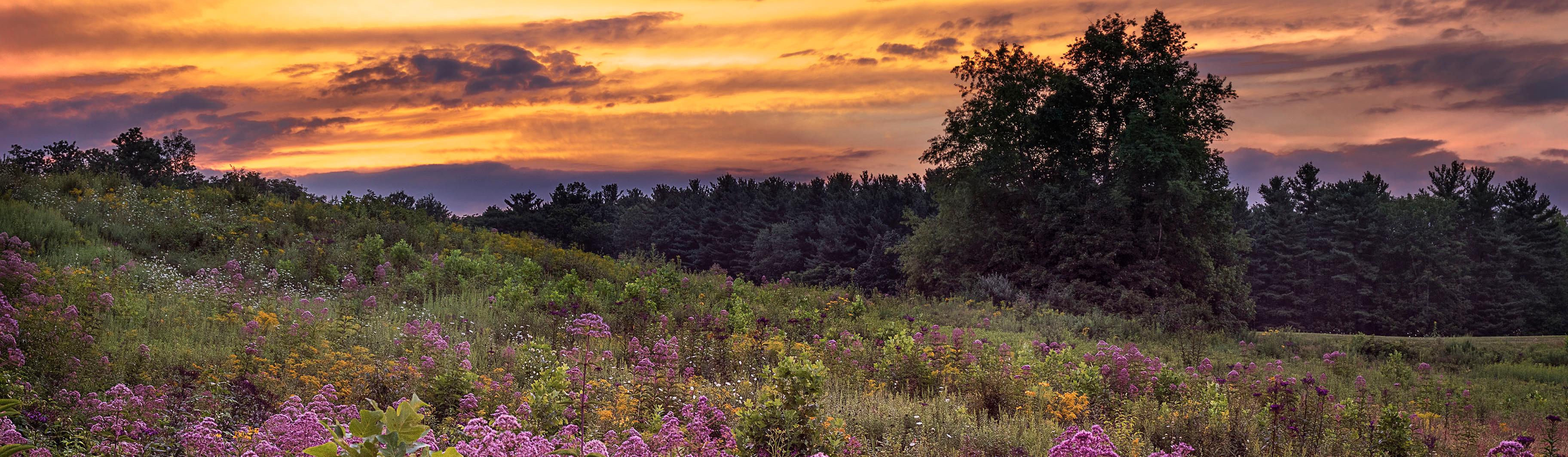Site Index - Cuyahoga Valley National Park (U.S. National Park Service)