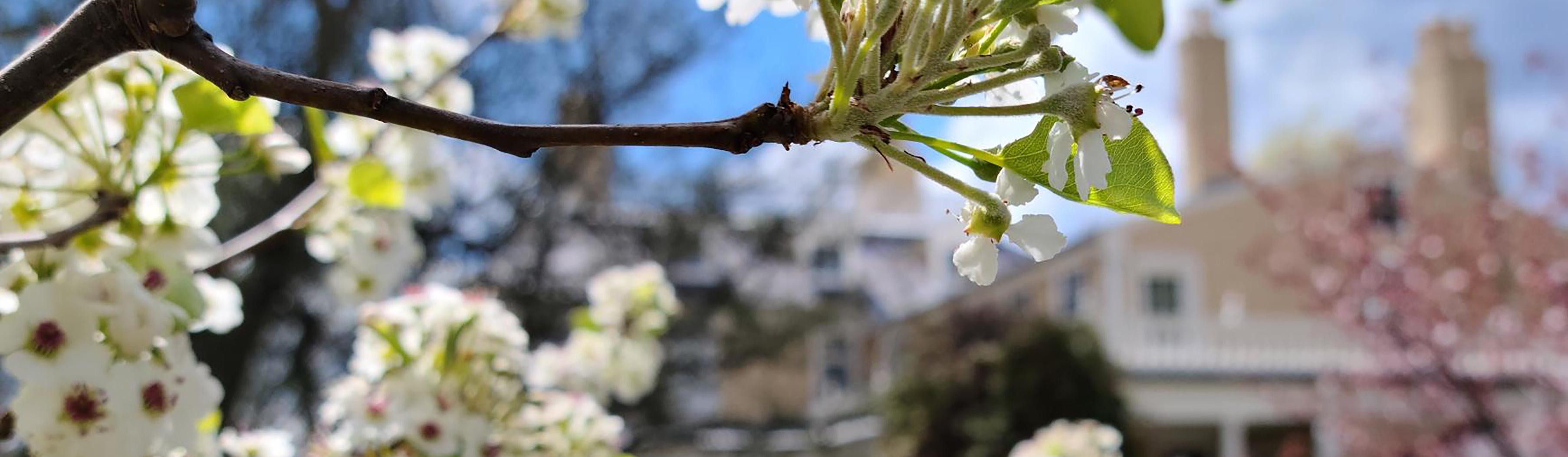 Longfellow House Washington's Headquarters National Historic Site (U.S ...