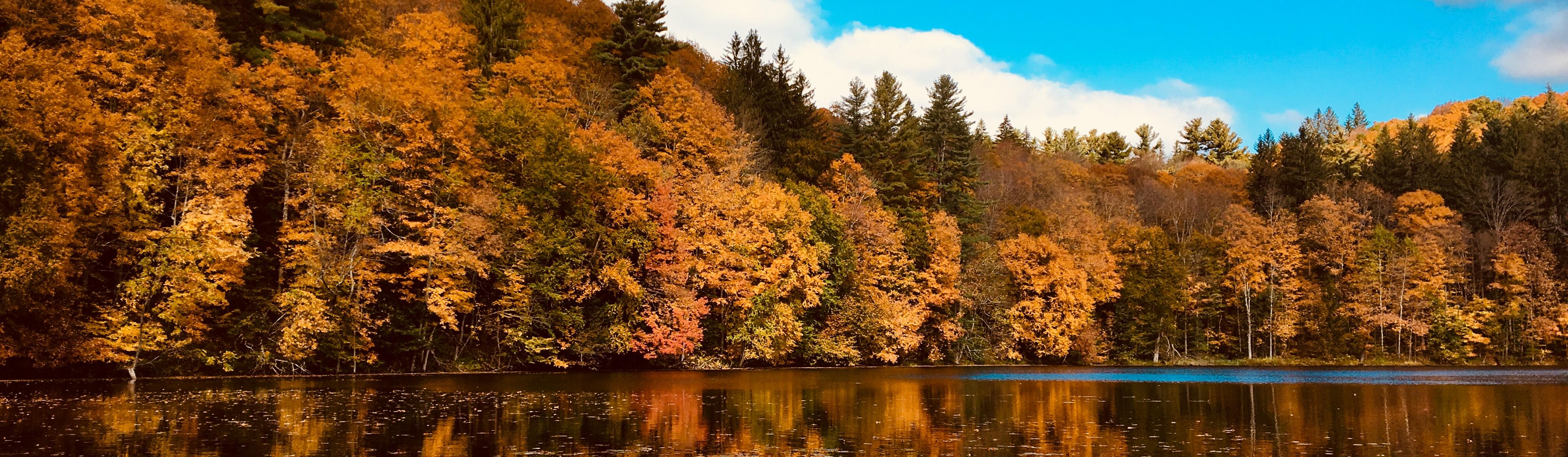 Marsh - Billings - Rockefeller National Historical Park (U.S. National ...