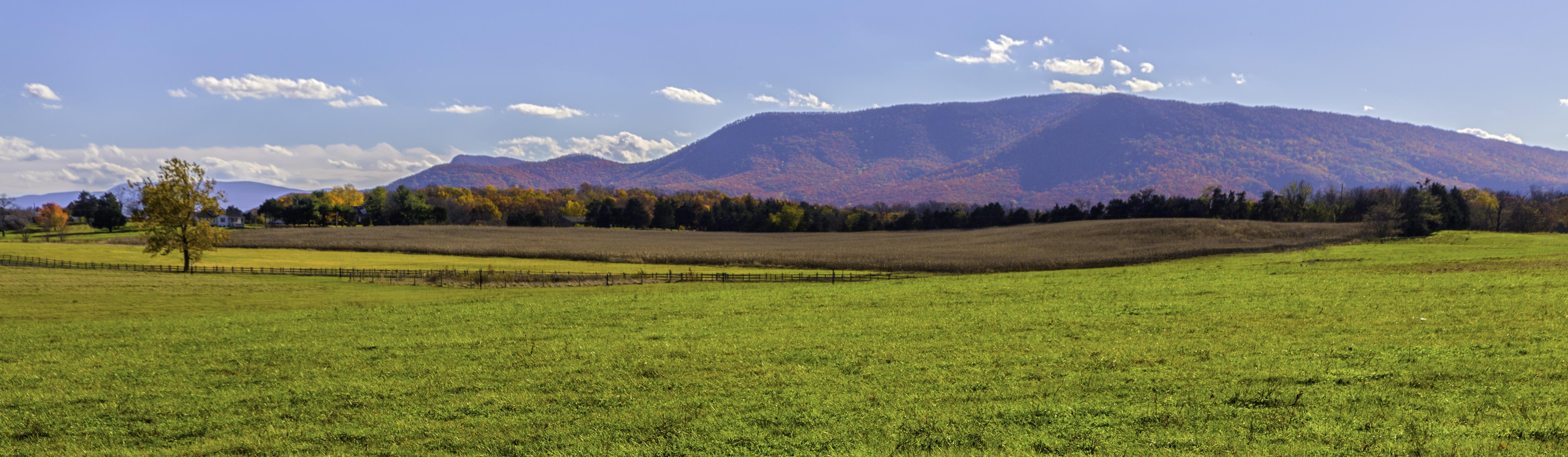 Cedar Mountain Virginia