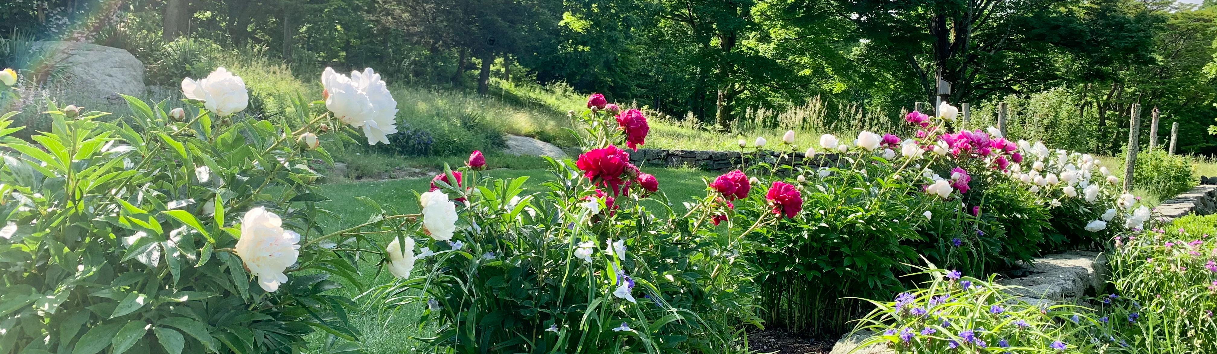 Weir Farm National Historical Park (U.S. National Park Service)