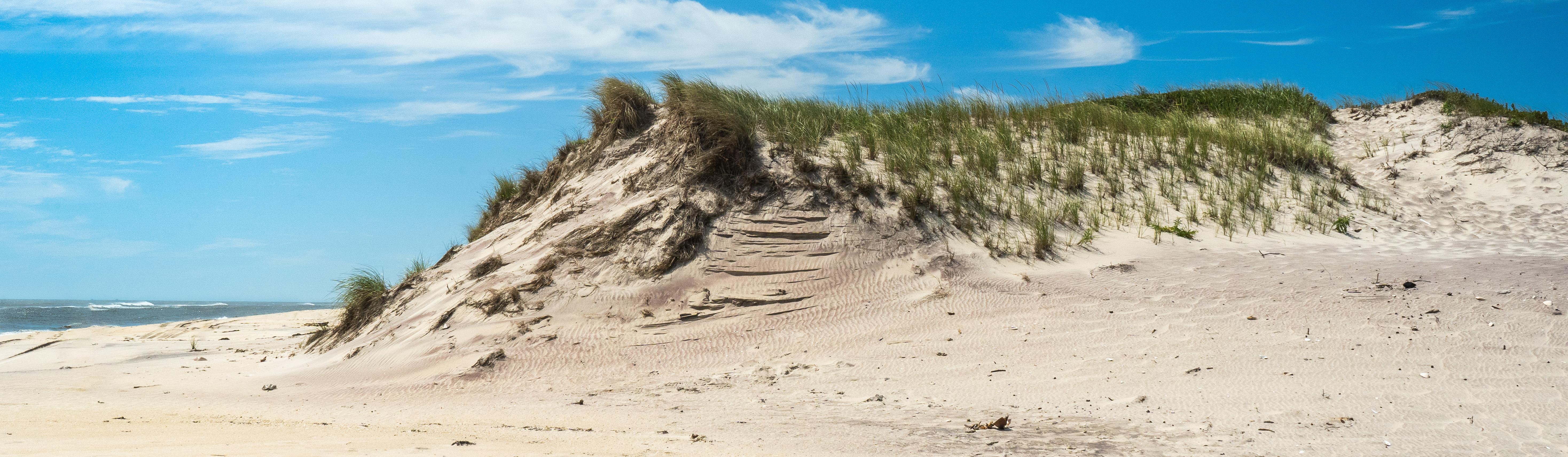 Fire Island National Seashore (U.S. National Park Service)
