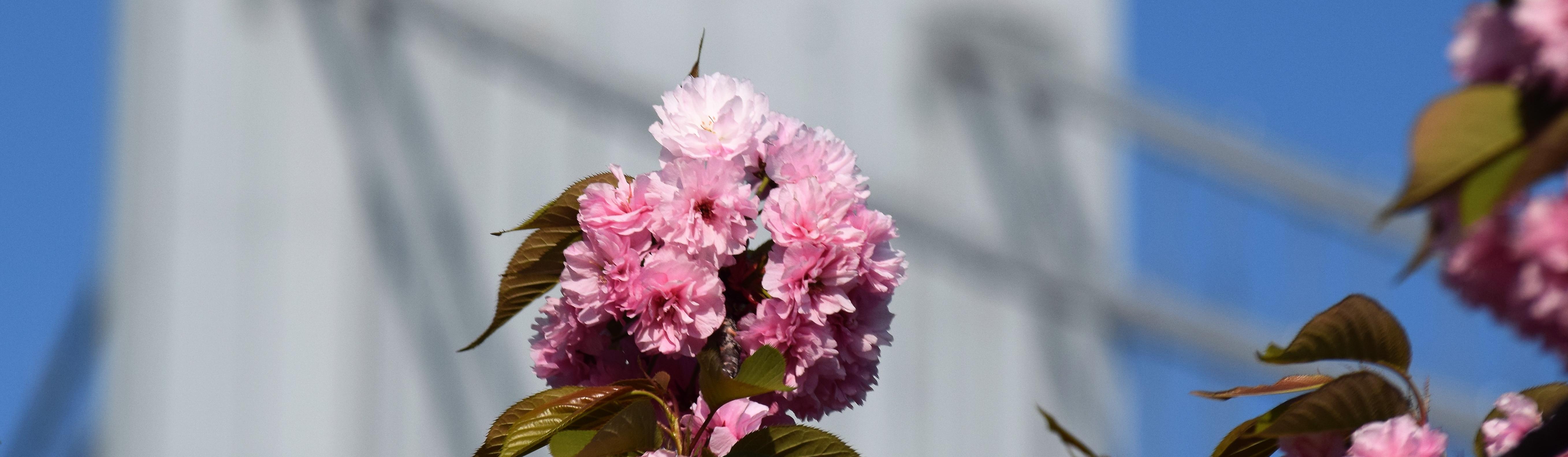 Gateway National Recreation Area (U.S. National Park Service)