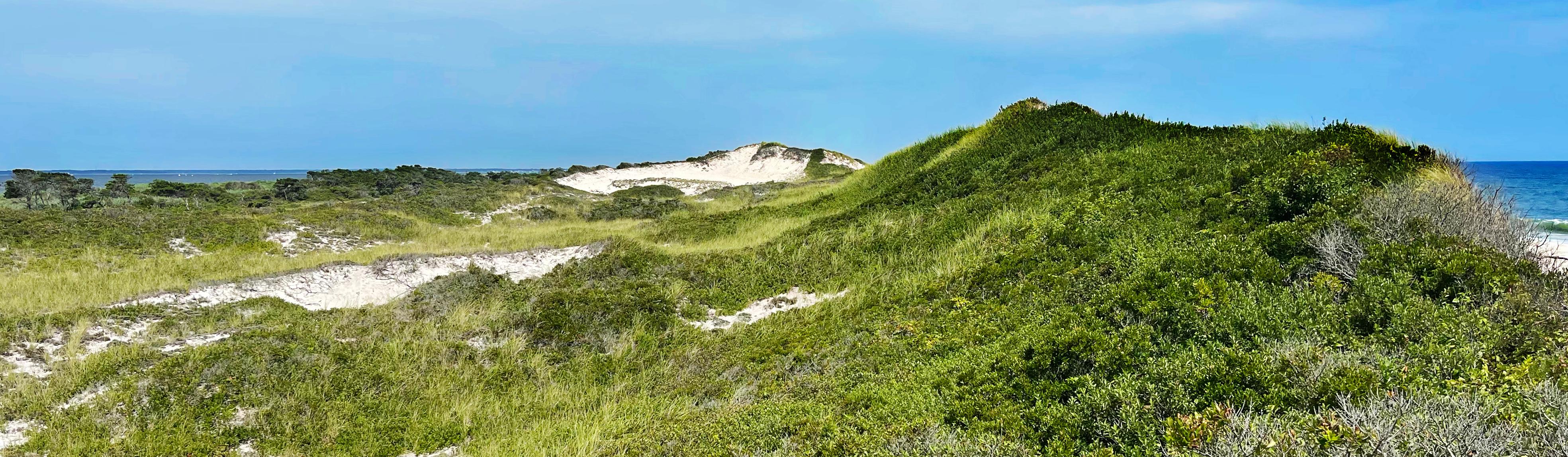 Fire Island National Seashore (U.S. National Park Service)
