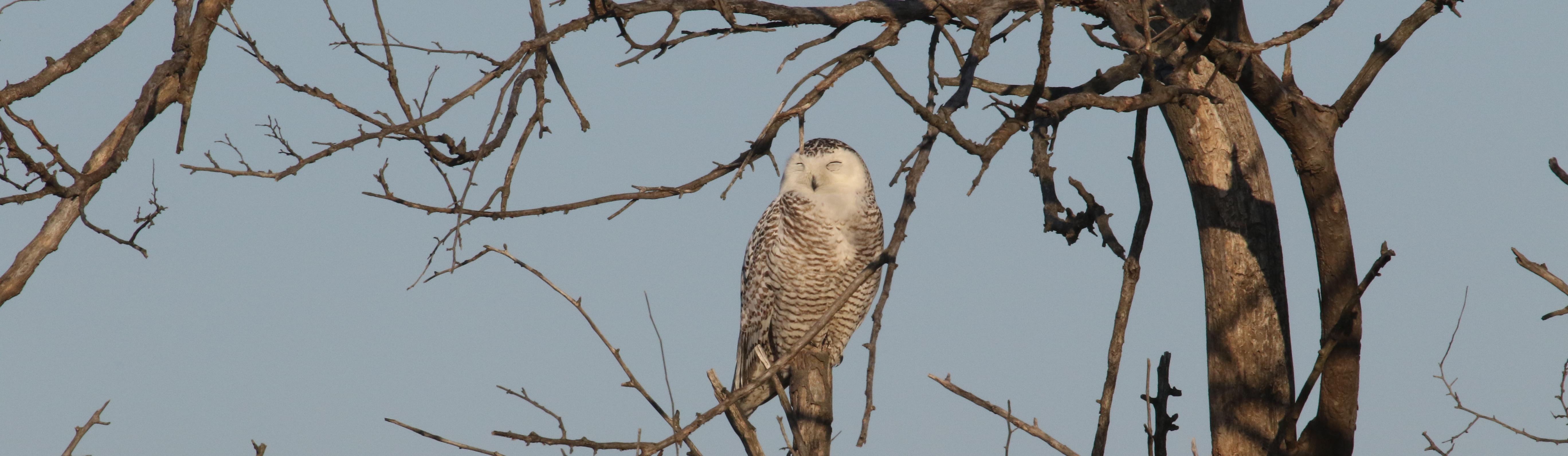 Gateway National Recreation Area (U.S. National Park Service)