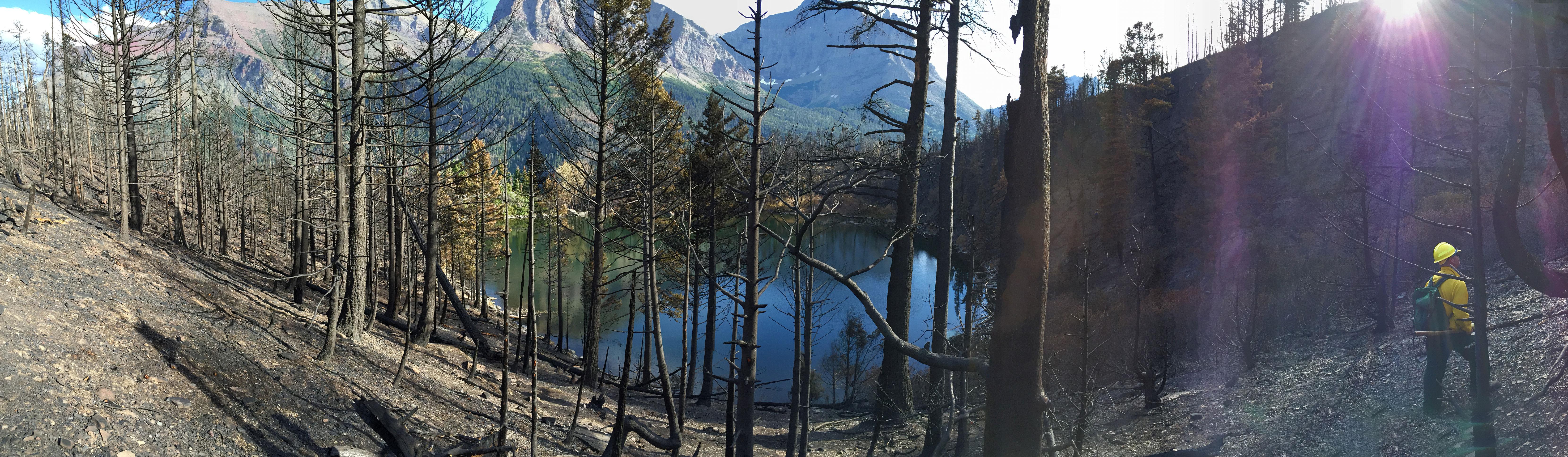 Wildland Fire Program (U.S. National Park Service)