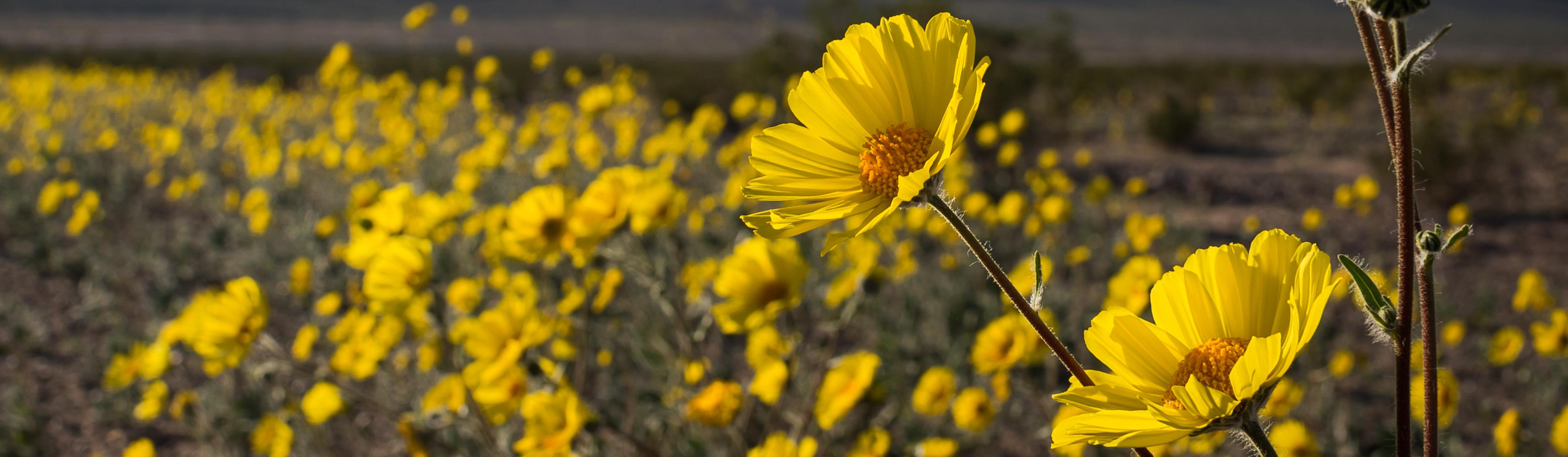 Explore Nature (U.S. National Park Service)