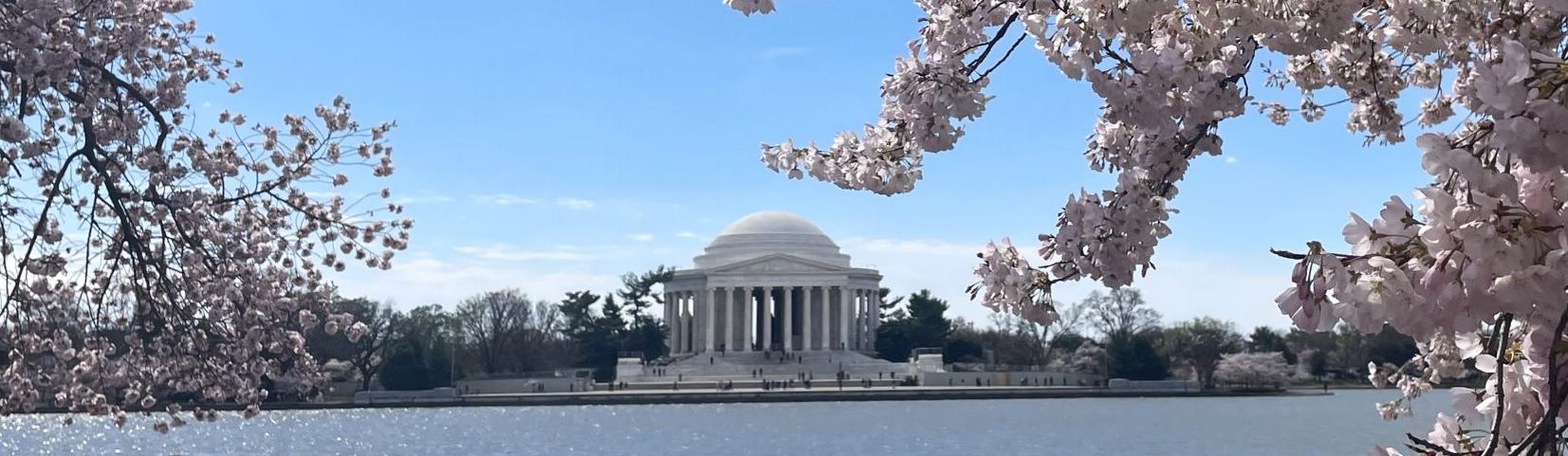 Cherry Blossom Festival (U.S. National Park Service)