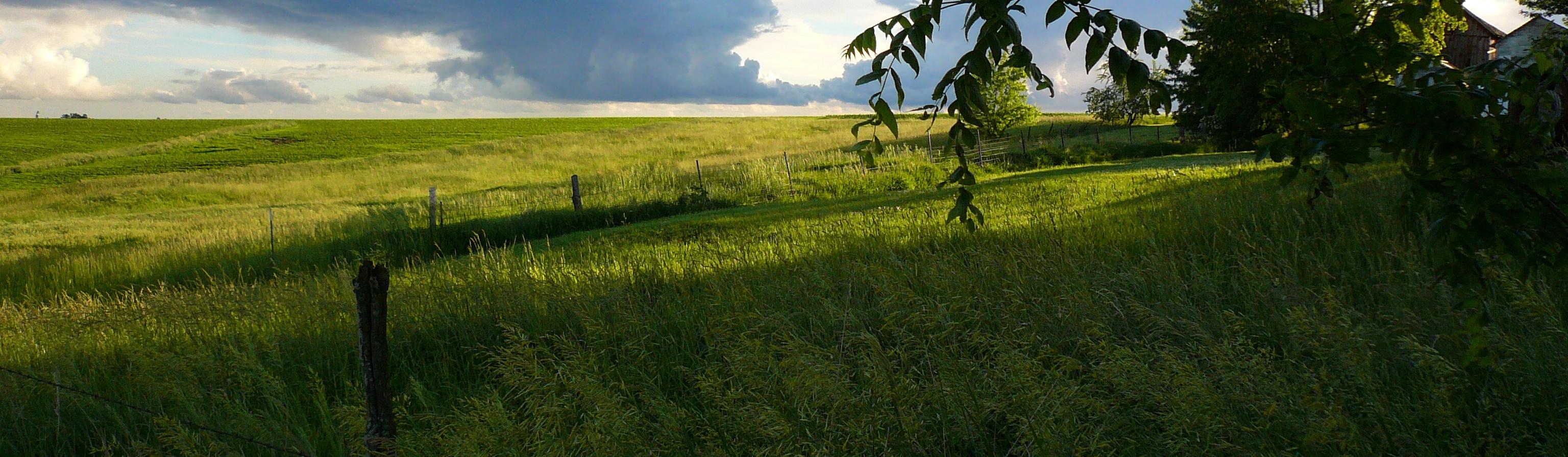 Grasslands & Prairies (U.S. National Park Service)