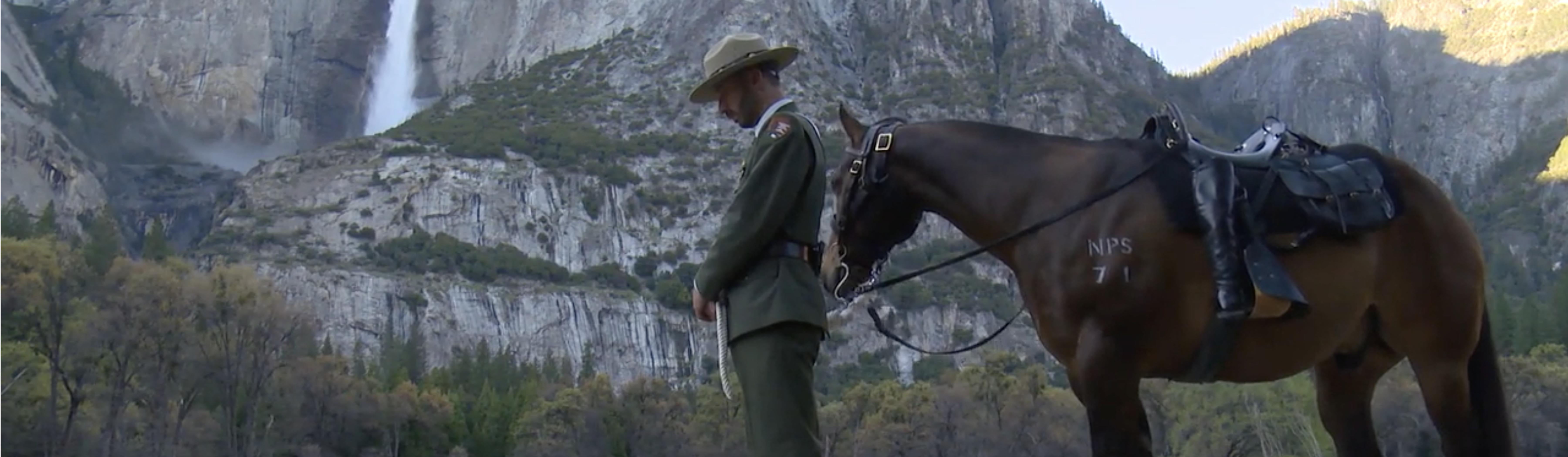 Investigative Services (U.S. National Park Service)