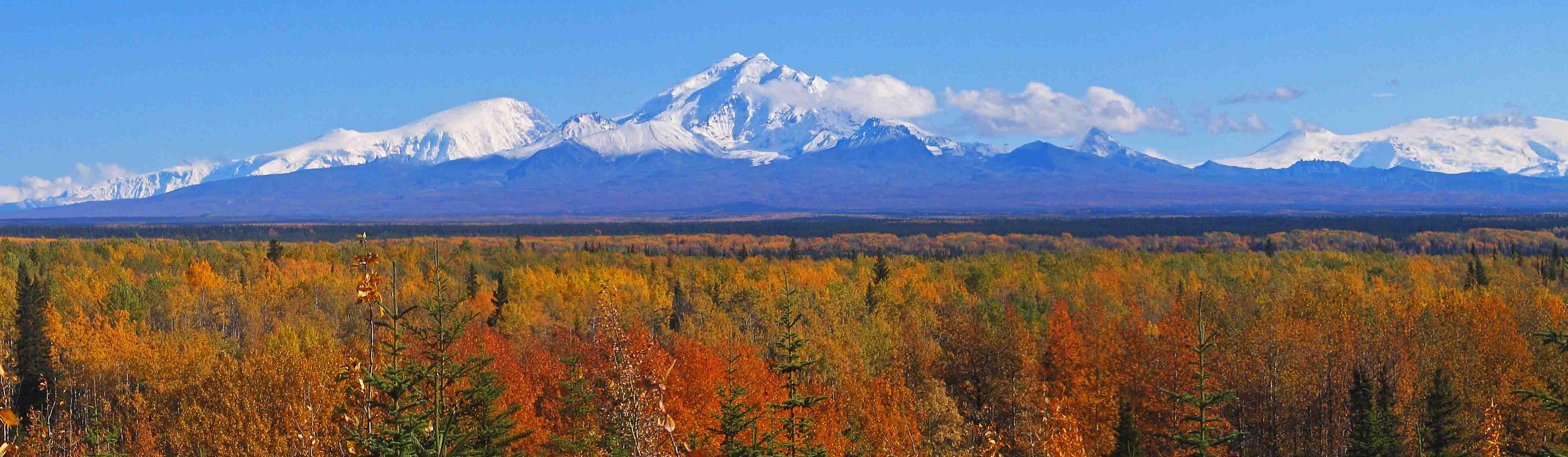 Central Alaska Inventory & Monitoring Network (U.S. National Park Service)