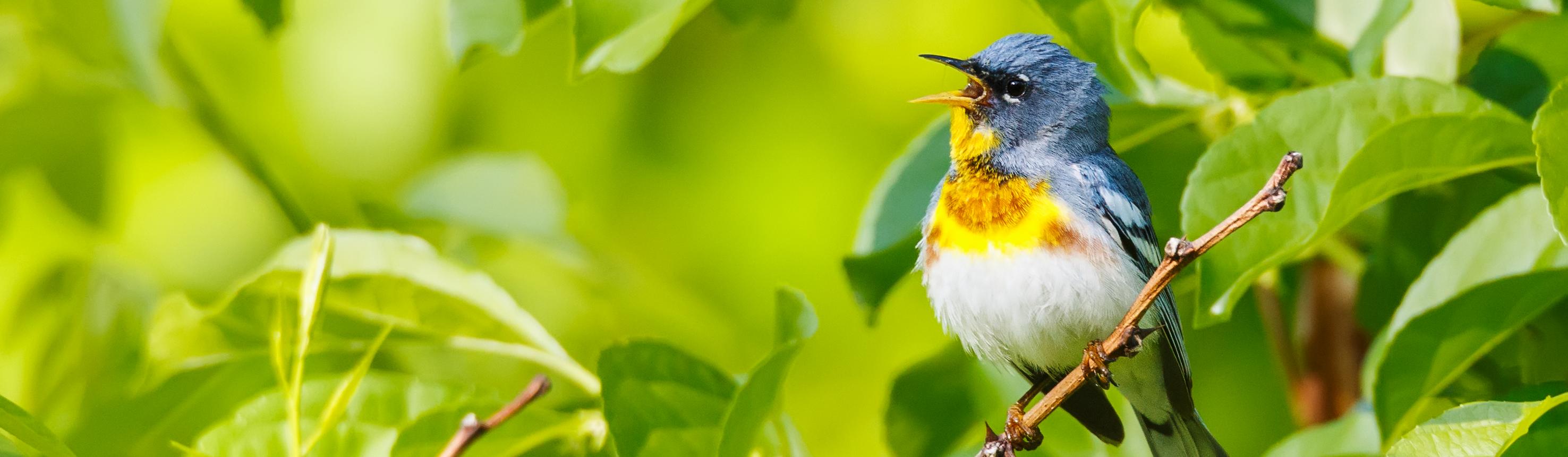 Explore Nature (U.S. National Park Service)