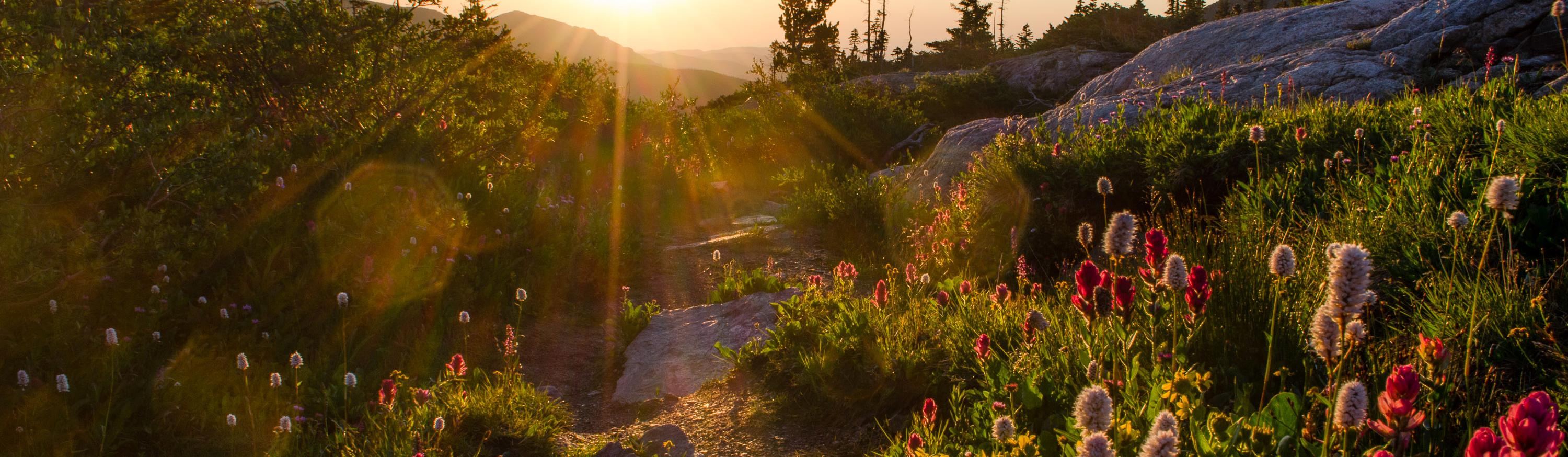 Natural Resource Stewardship and Science Directorate (U.S. National ...