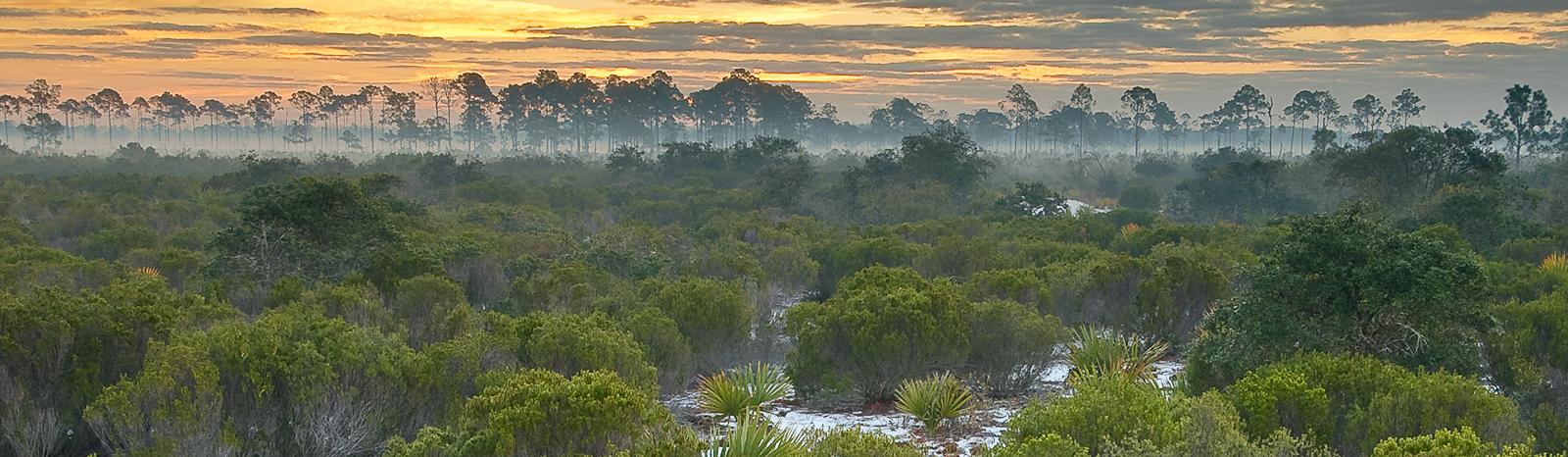 National Natural Landmarks (U.S. National Park Service)
