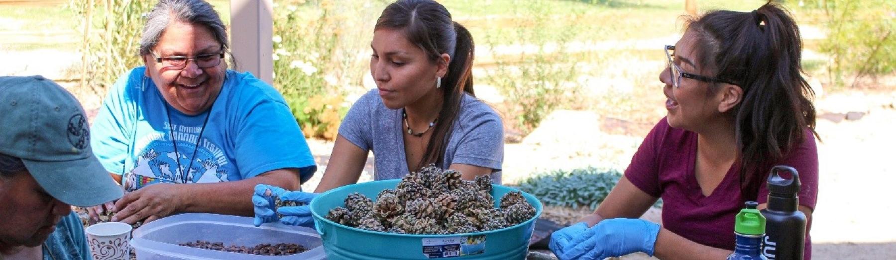 Tribal Historic Preservation Program (U.S. National Park Service)