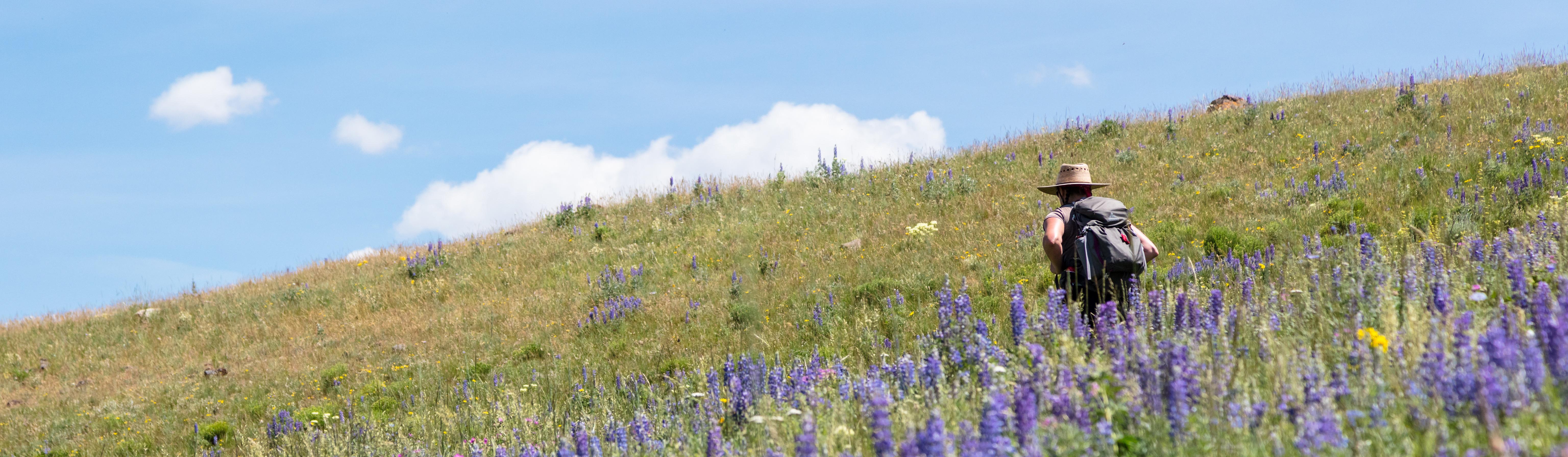 Urban Parks and Recreation Recovery (U.S. National Park Service)