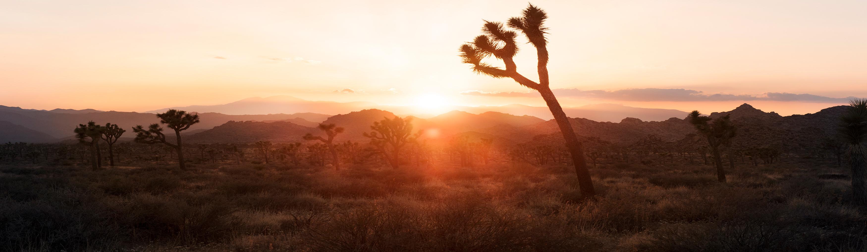 Climate Change Response Program (U.S. National Park Service)