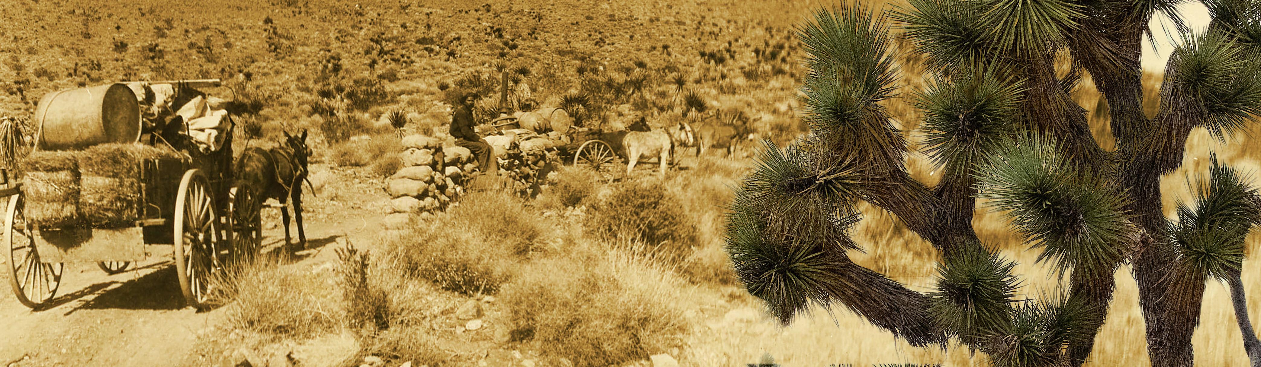 People of the Desert: Joshua Tree National Park Exhibit (U.S. National ...