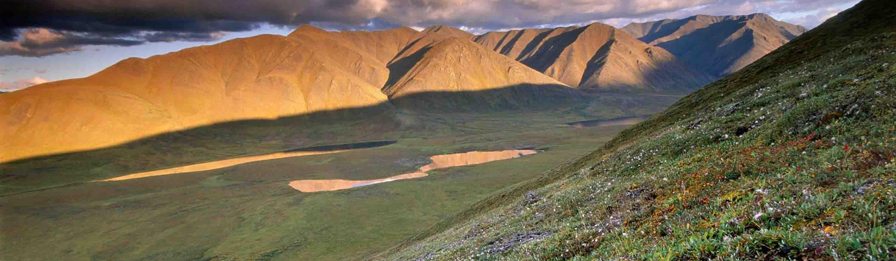 Beringia (U.S. National Park Service)