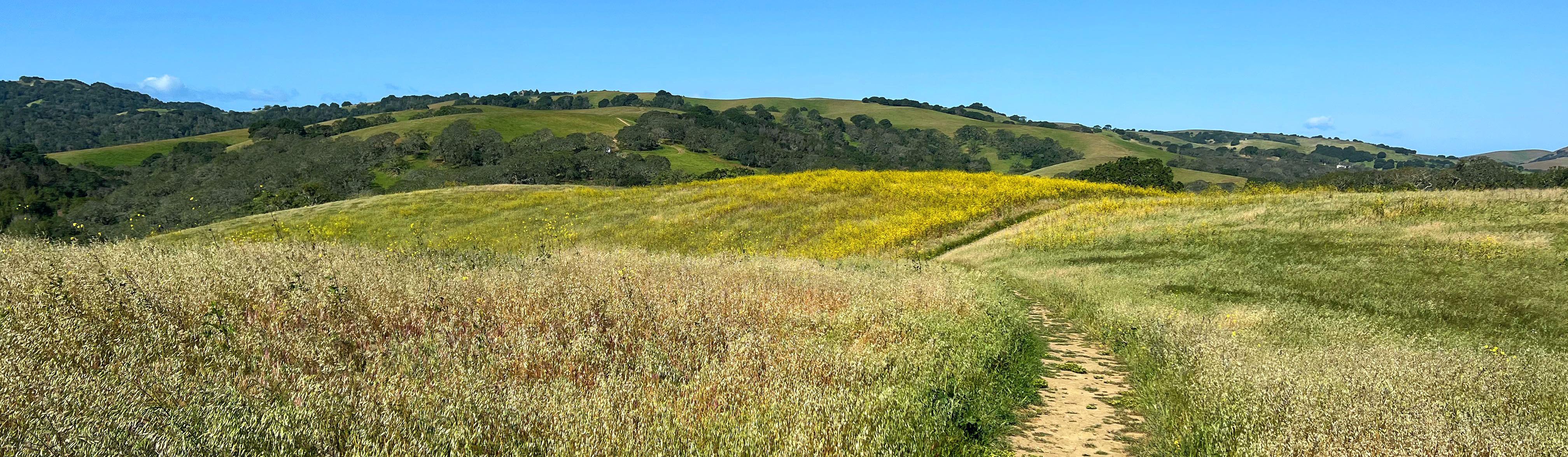 John Muir National Historic Site (U.S. National Park Service)