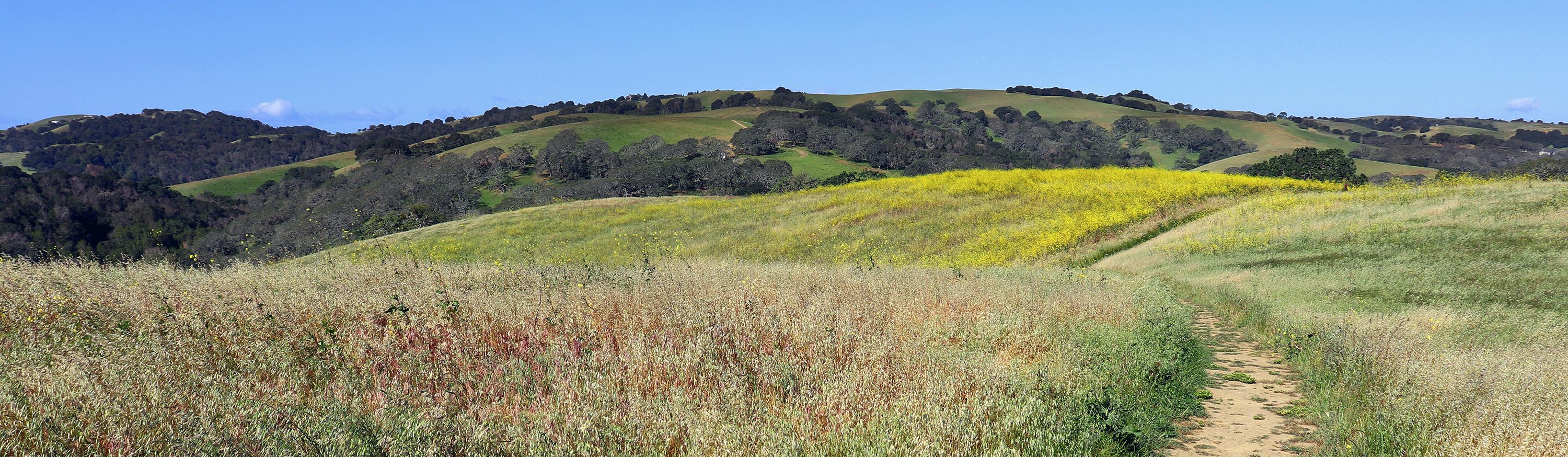 John Muir National Historic Site (U.S. National Park Service)