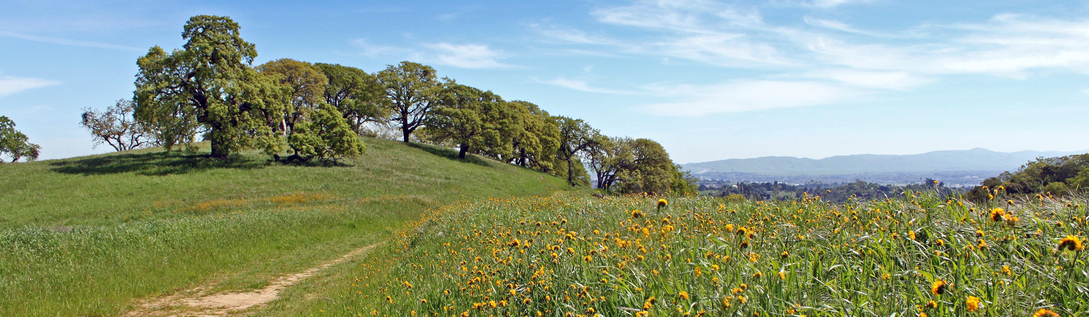 Site Index - John Muir National Historic Site (U.S. National Park Service)